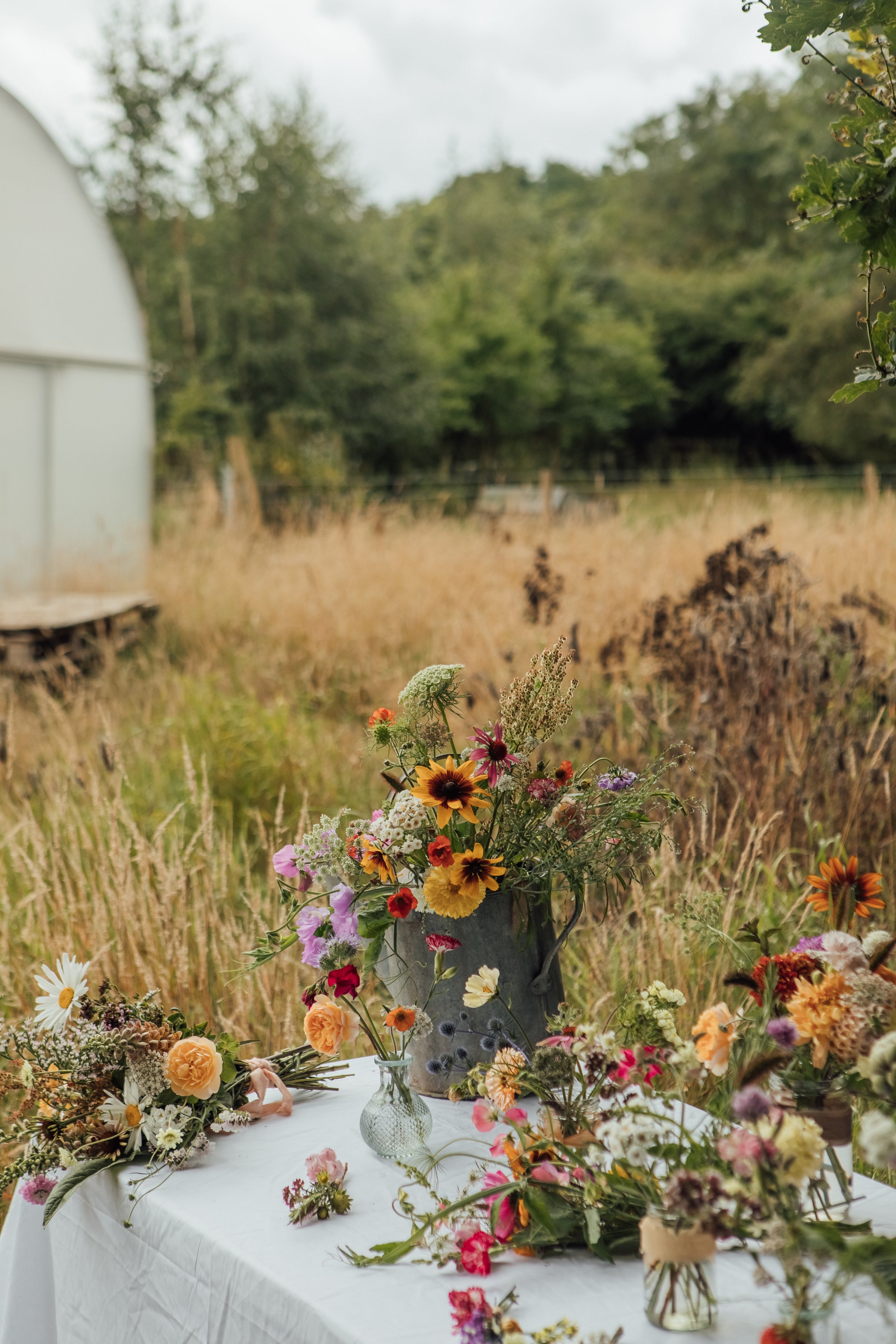 Collections – Sitopia Farm