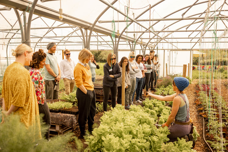 Team Days – Sitopia Farm