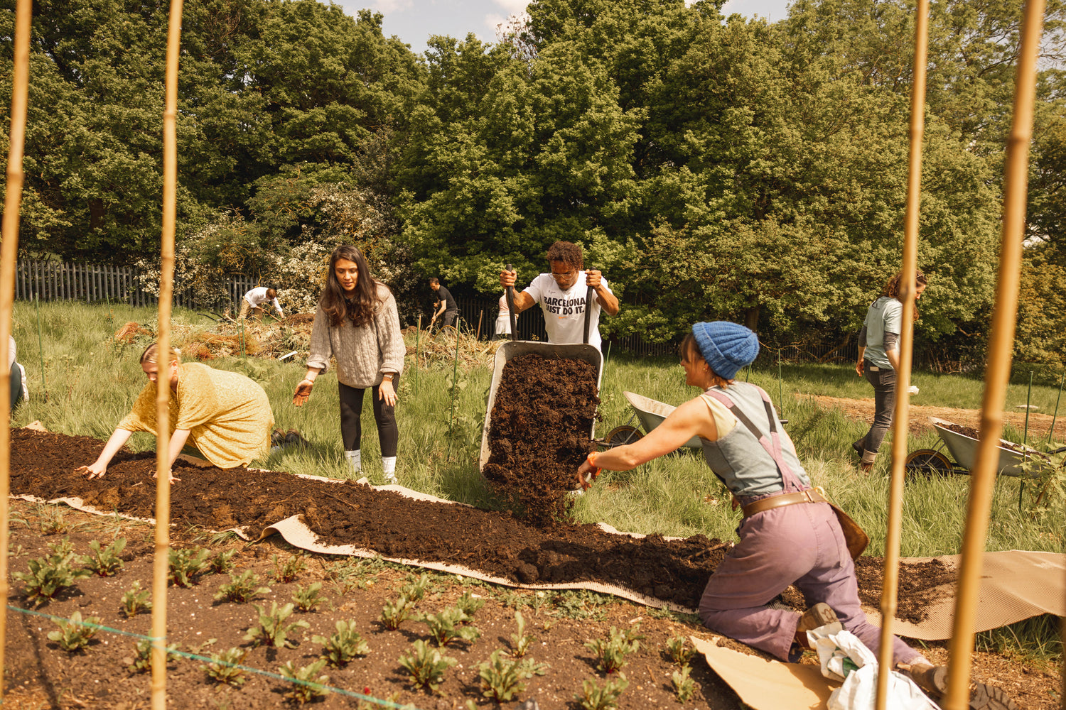 Team Days – Sitopia Farm