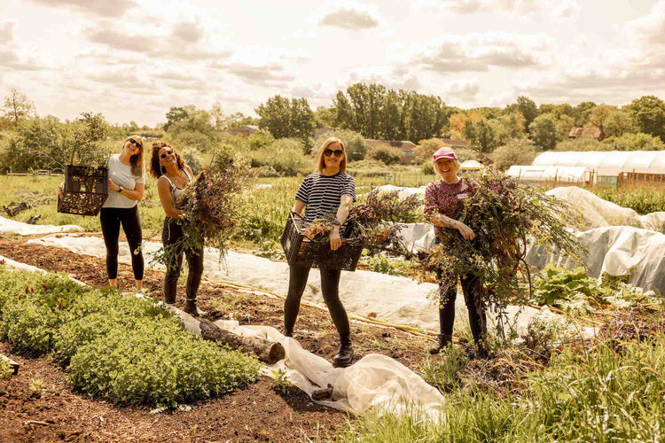 Team Days – Sitopia Farm