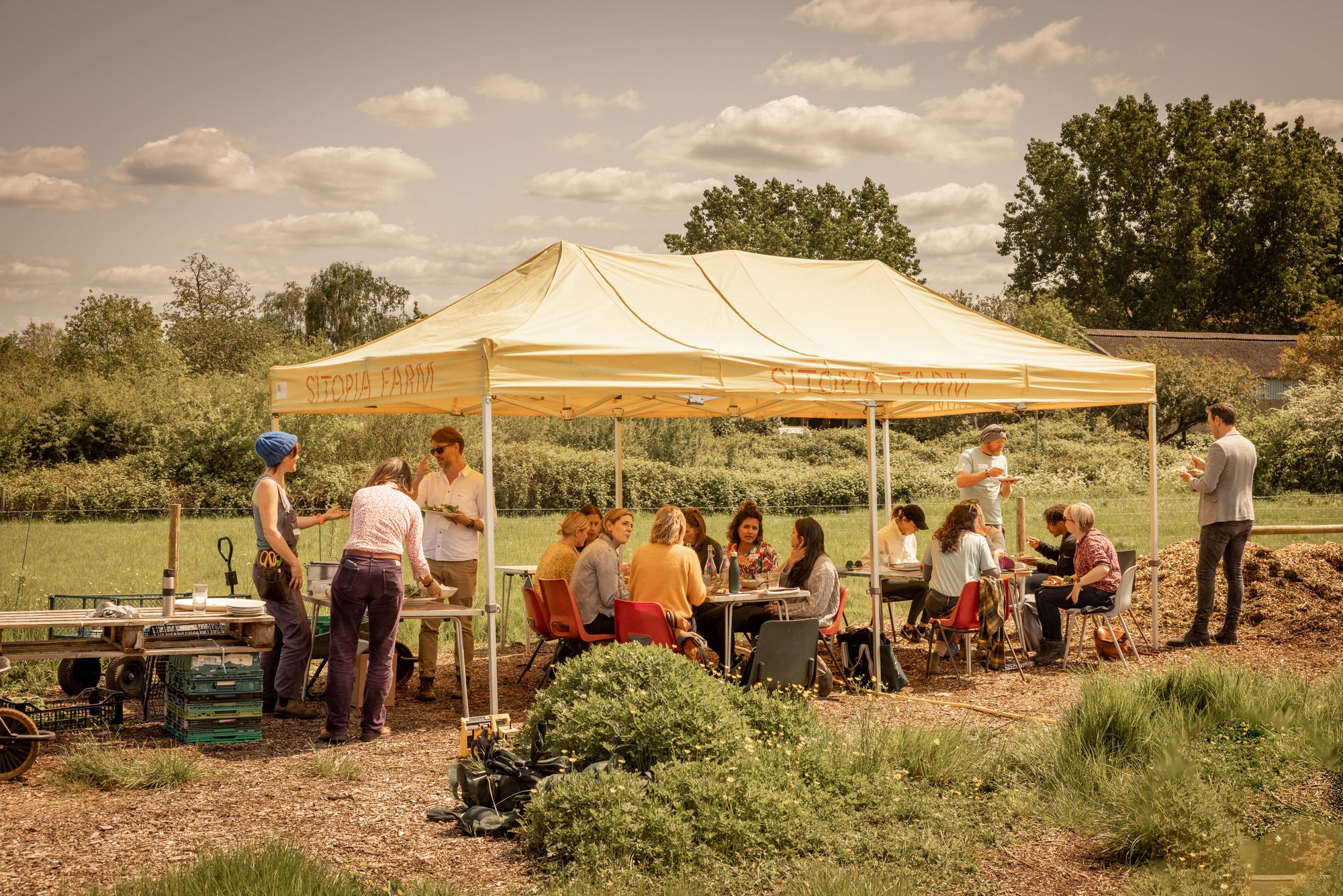 Team Days – Sitopia Farm