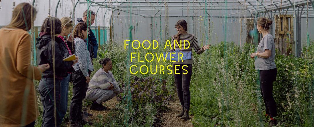 Courses – Sitopia Farm