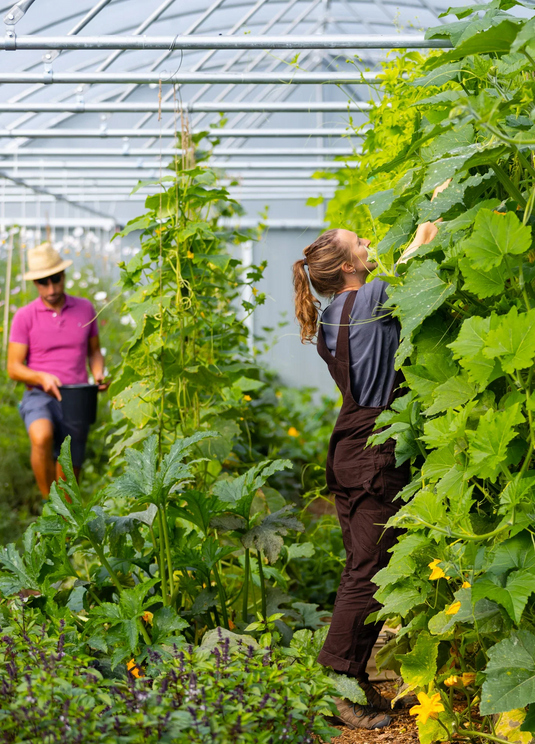 Courses – Sitopia Farm